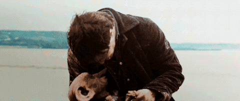 GIF reddit xpost percy stow - animated GIF on GIFER