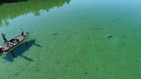 Perfect loop loop bass GIF - Find on GIFER
