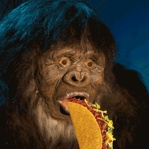 Sasquatch GIF - Find on GIFER