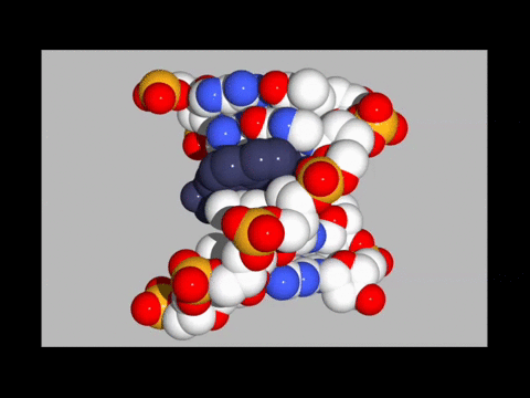 Throwback GIF - Find on GIFER
