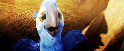 Rio GIF - Find on GIFER