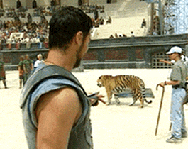 Gladiator GIF - Find on GIFER