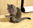 GIF ignorant deviantart mark geiger - animated GIF on GIFER
