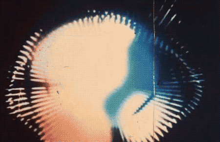 Reporter GIF - Find on GIFER