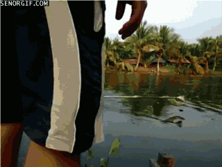 Speedboat thailand boats GIF - Find on GIFER