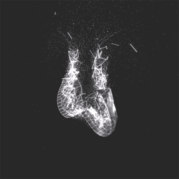 C4d GIF - Find on GIFER