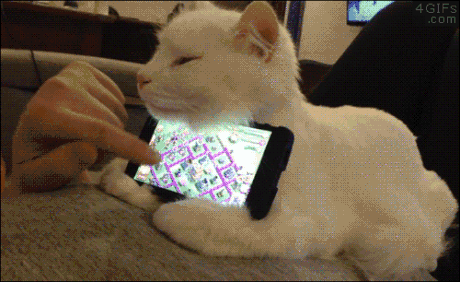 Iphone cellphone cats GIF - Find on GIFER