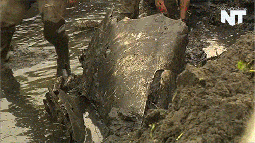 Wwii aeronautics news GIF - Find on GIFER