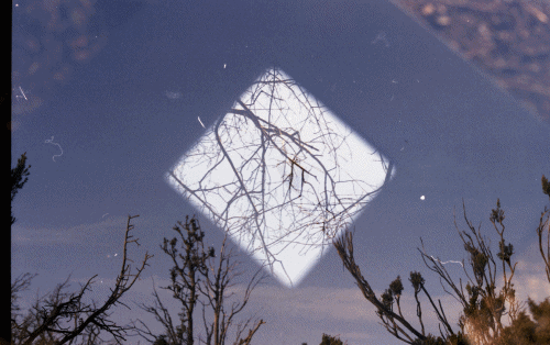 Reflection nature blancavinas GIF - Find on GIFER