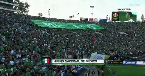 Mexico fans ca2016 GIF - Find on GIFER