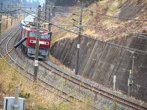 Pdx GIF - Find on GIFER