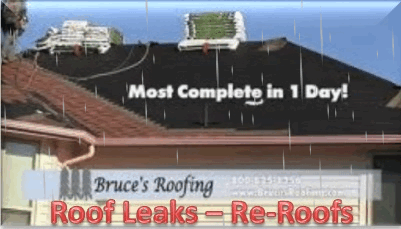 Seattle GIF - Find on GIFER