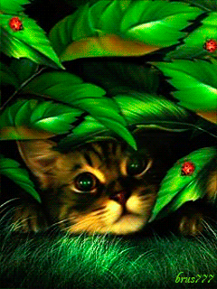 GIF 1952 - animated GIF on GIFER