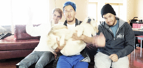 Goldie GIF - Find on GIFER