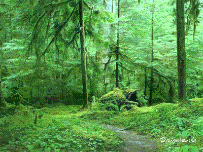 Mud GIF - Find on GIFER