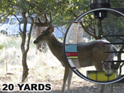 GIF archery - animated GIF on GIFER