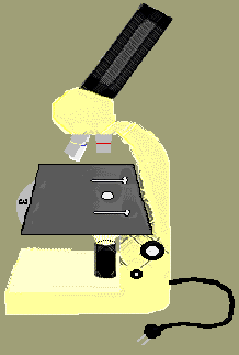 Microscope GIF - Find on GIFER