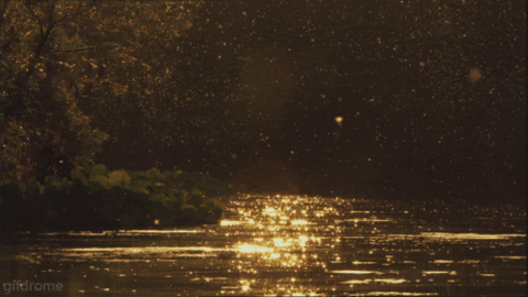 GIF sunlight - animated GIF on GIFER