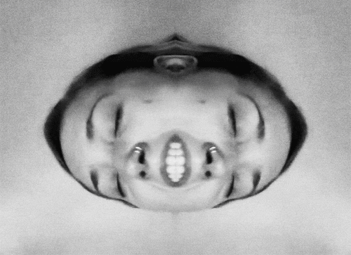 Black and white experiment GIF - Find on GIFER