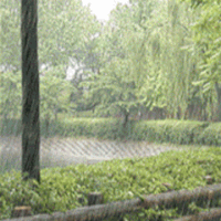 Rainy GIF - Find on GIFER