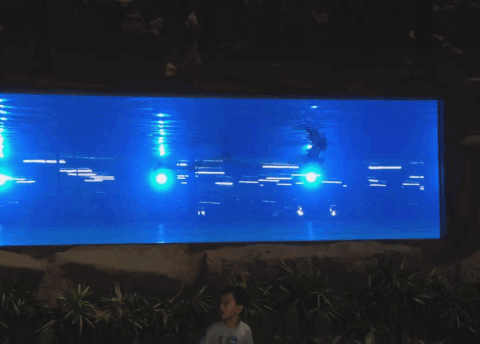 Swimming pool GIF - Find on GIFER