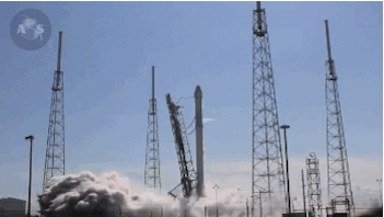 Dragon nasa spacex GIF - Find on GIFER