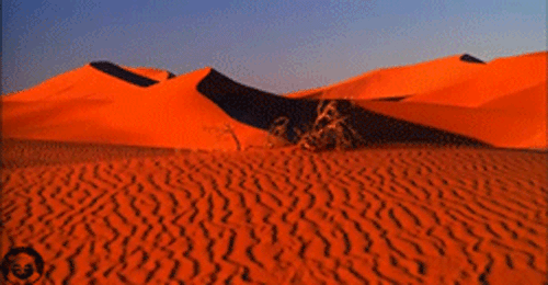 Las Bolas Espaciales Peinan El Desierto Gif GIFs De Sahara Desert