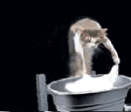 Laundry GIF - Find on GIFER