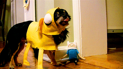 GIF cartoon tumblr ward - animated GIF on GIFER