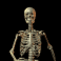 Skeletons GIF - Find on GIFER