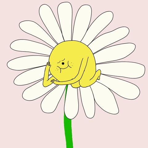 Good morning spring buenos dias GIF on GIFER - by Wrathfire
