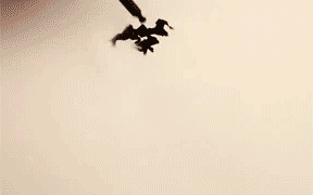 Ink GIF - Find on GIFER