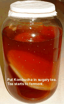 Jar GIF - Find on GIFER