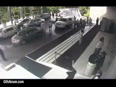 Idea lamborghini valet GIF - Find on GIFER
