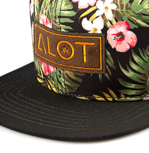 Snapback GIF - Find on GIFER