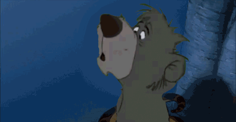 GIF baloo - animated GIF on GIFER