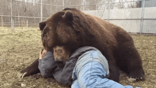 Jimbo GIF - Find on GIFER
