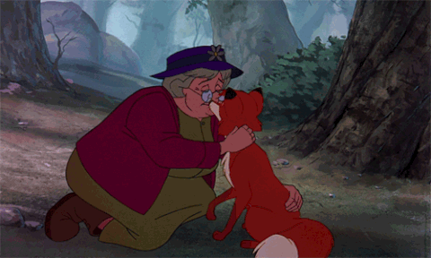 GIF red fox - animated GIF on GIFER