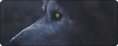 GIF blue eyes - animated GIF on GIFER