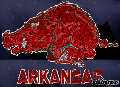 Logo arkansas razorbacks picture GIF - Find on GIFER