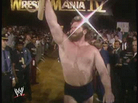 Sports wwe win GIF - Find on GIFER