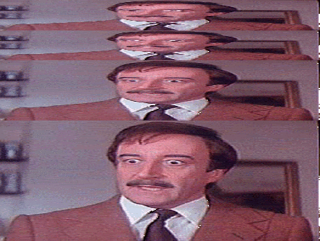 Inspector clouseau GIF - Find on GIFER