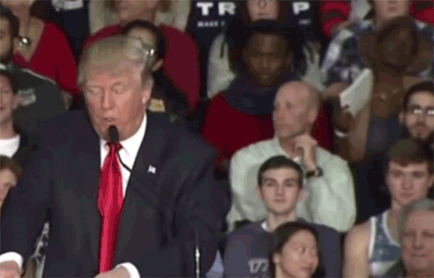Trump rally GIF - Find on GIFER