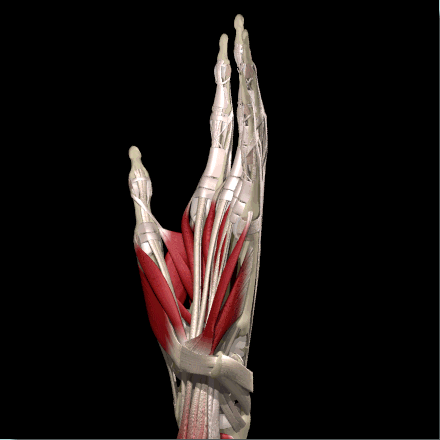 Hiroshima history GIF - Find on GIFER