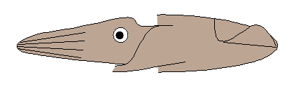 Squid GIF - Find on GIFER