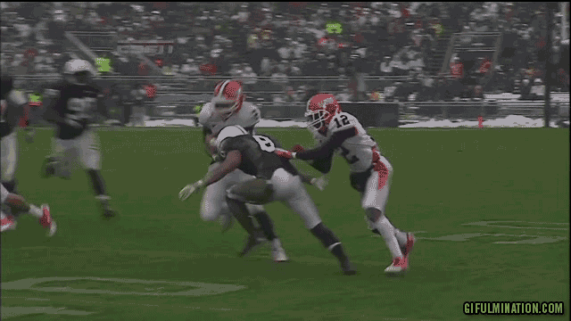 Go university state GIF - Find on GIFER