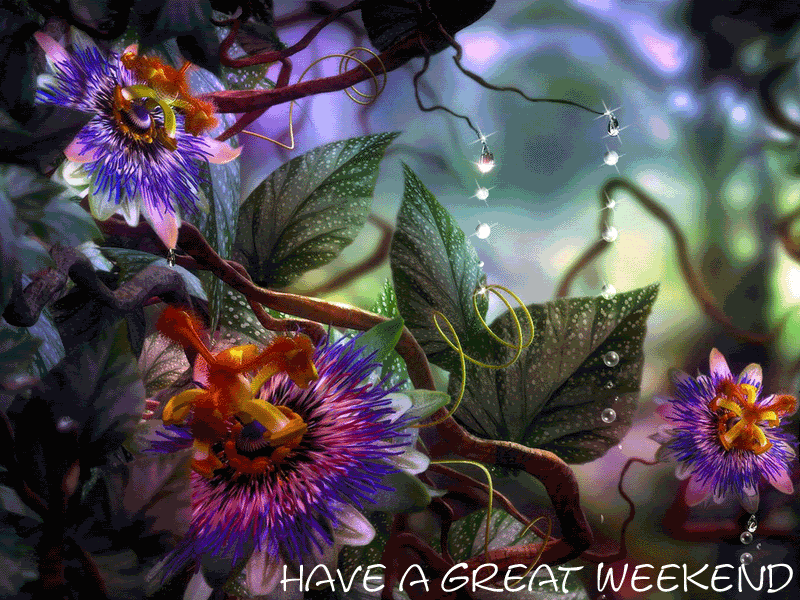 GIF connection - animated GIF on GIFER