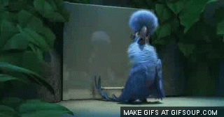 GIF jewel - animated GIF on GIFER