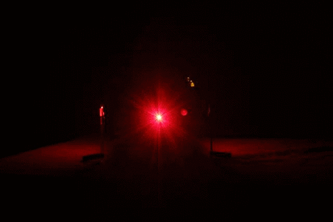 GIF x ray - animated GIF on GIFER