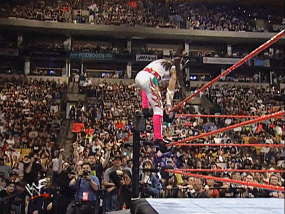 Wrestling archive GIF - Find on GIFER